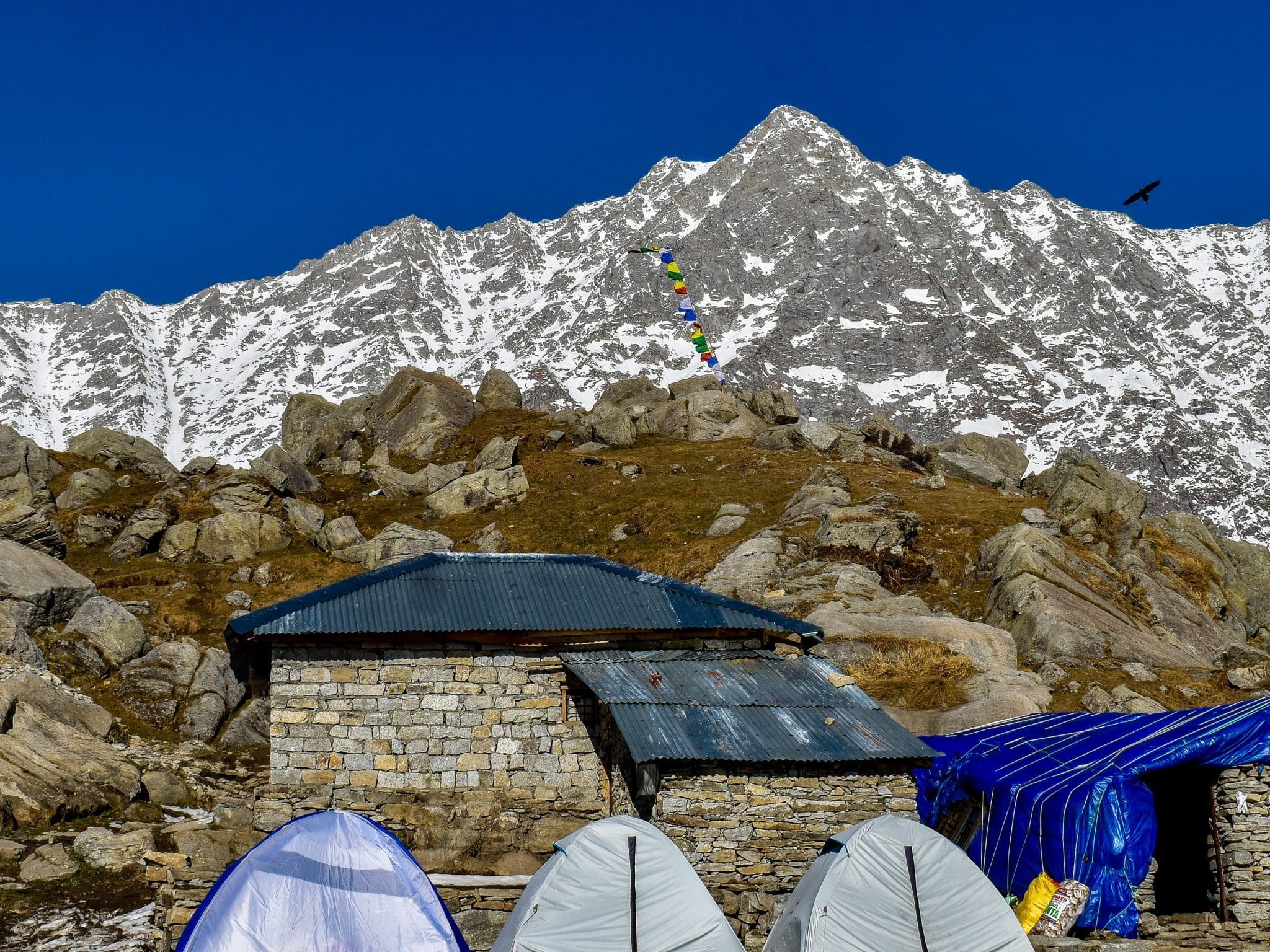 Triund Snowline Trek | Lazy Monk Adventure